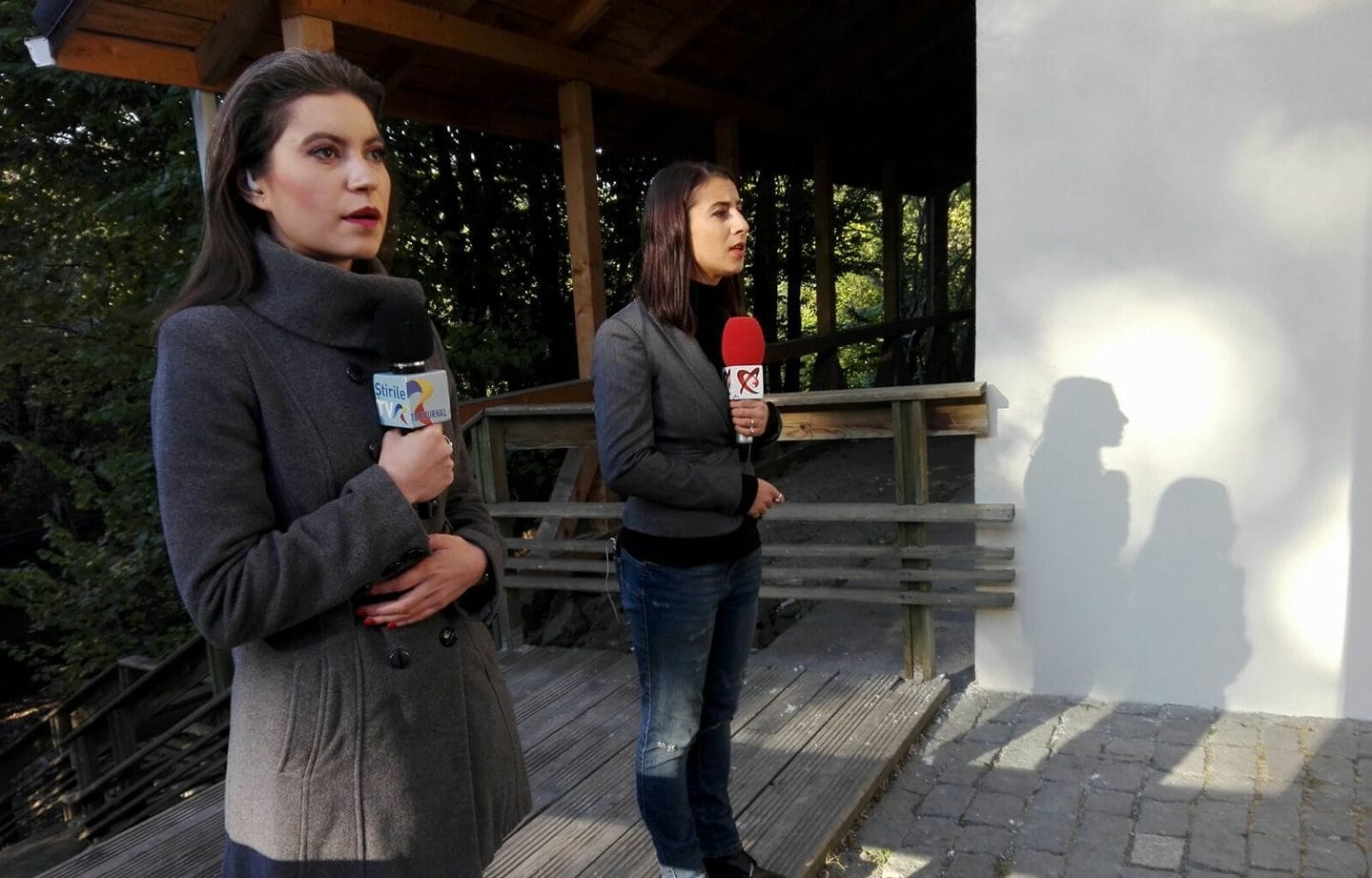Pagina de Media: TVR retrage un ziarist de pe PSD și Parlament pentru ...