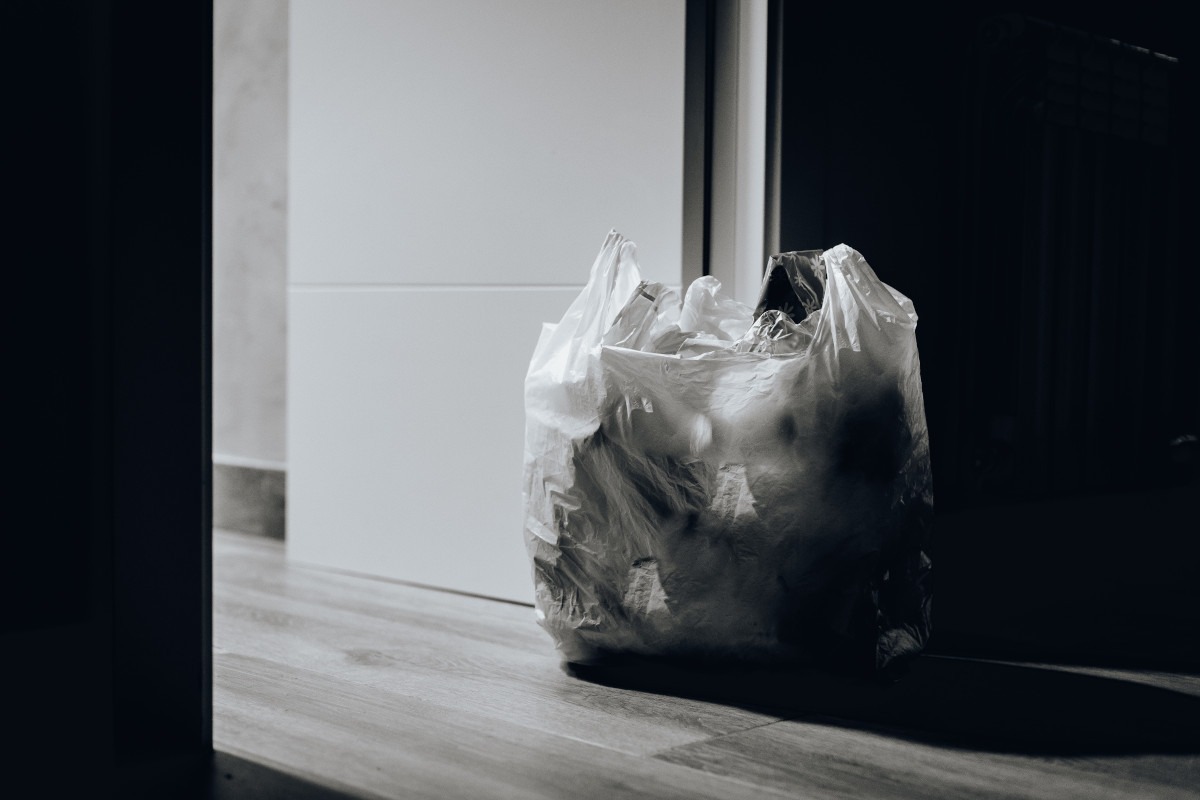 Pungile din plastic, interzise în Germania începând din 2022