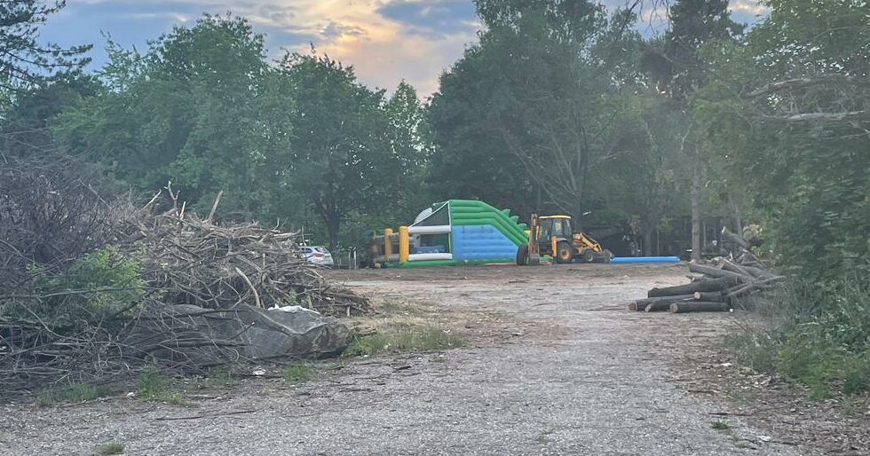 VIDEO Imagini cu zona defrișată din Parcul Titan din București: în ...
