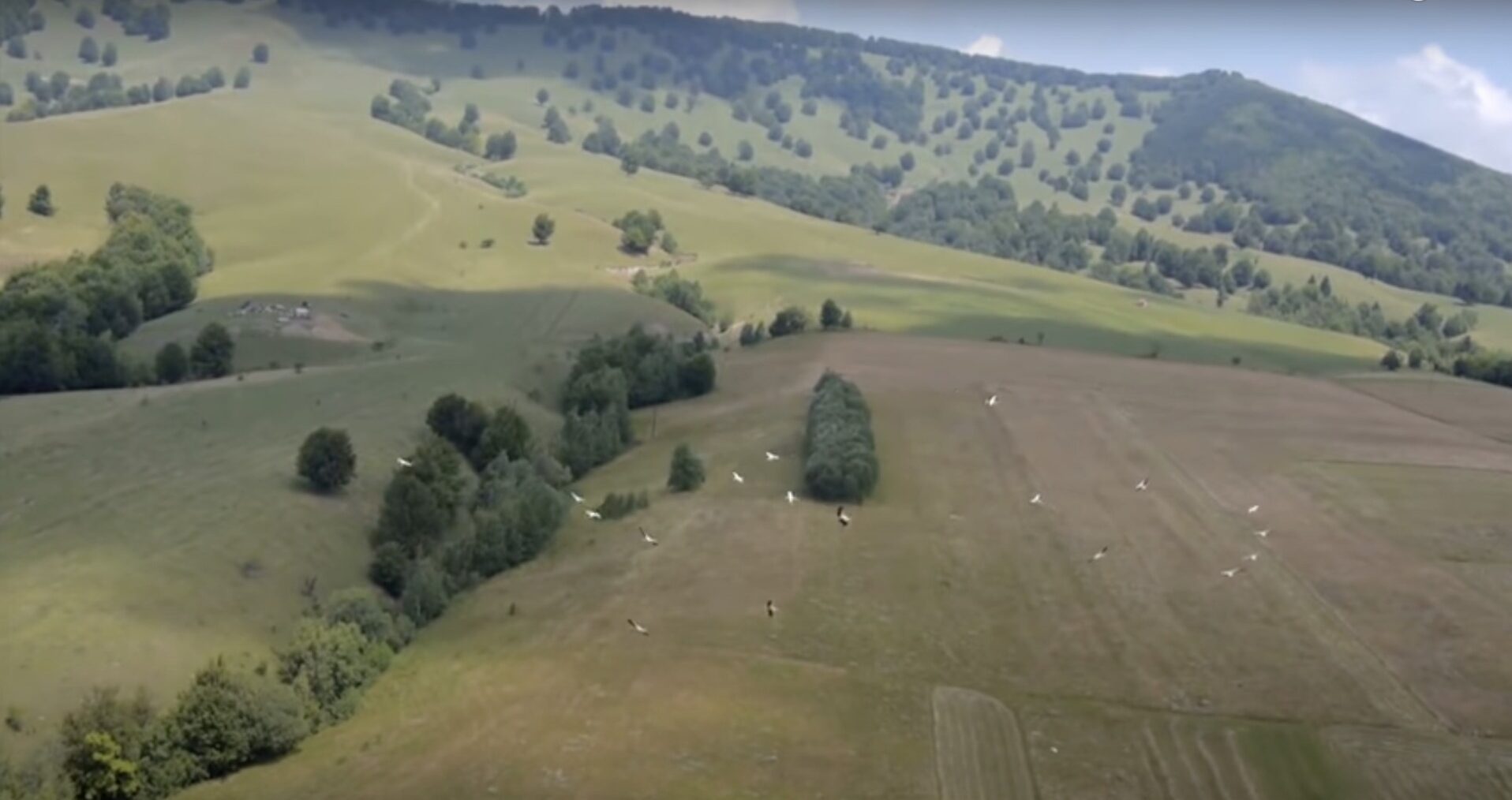 Administrația județeană Covasna va construi un refugiu montan cu ...