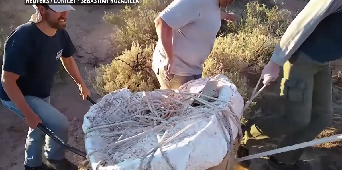 O nouă specie de dinozaur a fost descoperită în Argentina: Chakisaurus ...
