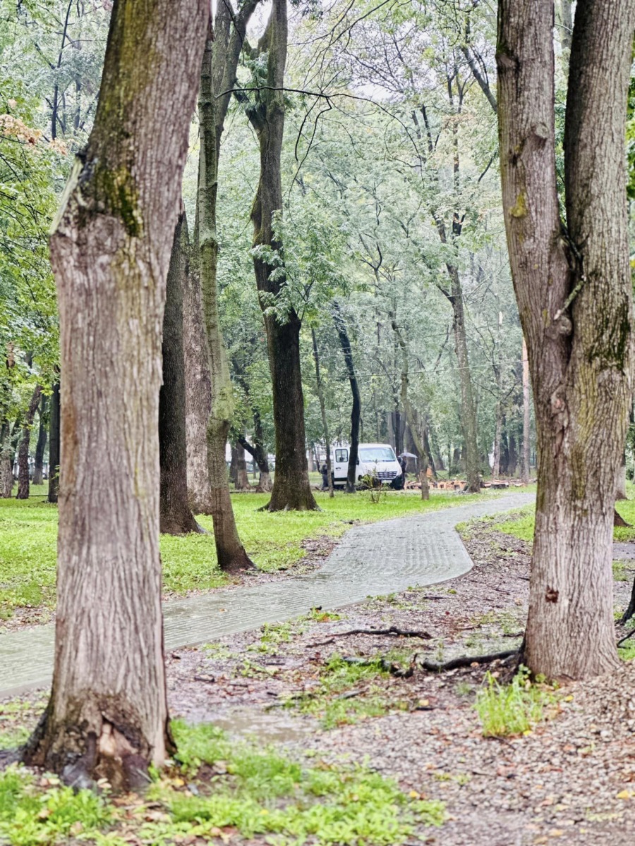 Primăria Bacău începe lucrările de modernizare a Parcului Cancicov ...